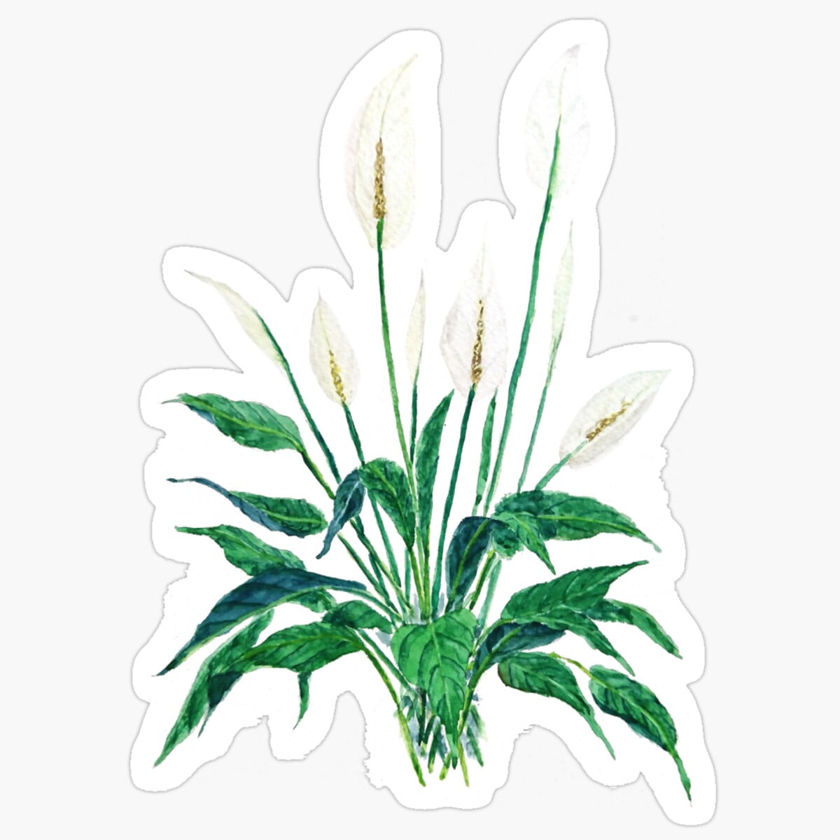 KIRA Peace Lily Sticker Birthday Gifts - Decorative Laptop, Phone ...