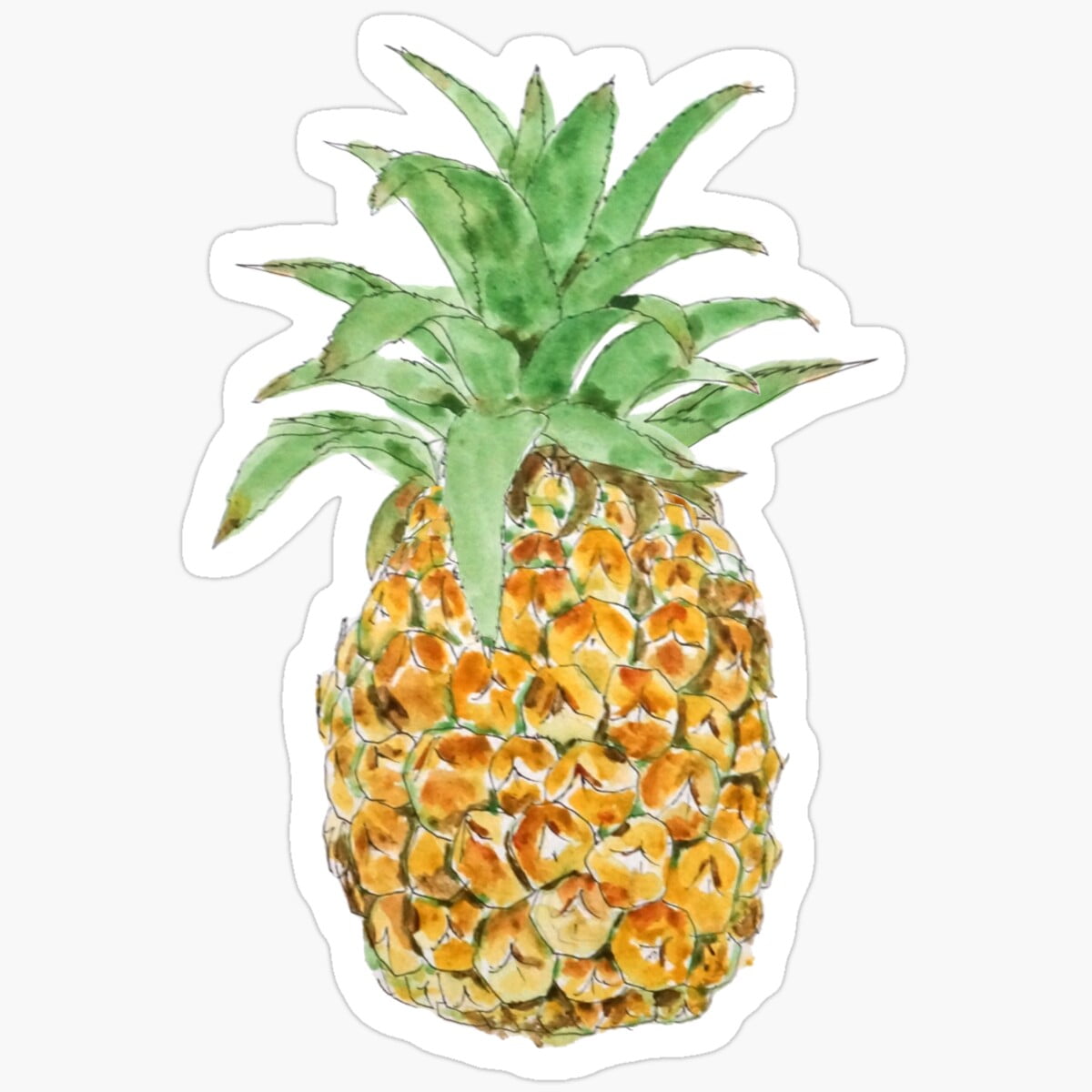 KIRA Pineapple Ink And Watercolor Painting Sticker Birthday Gifts ...