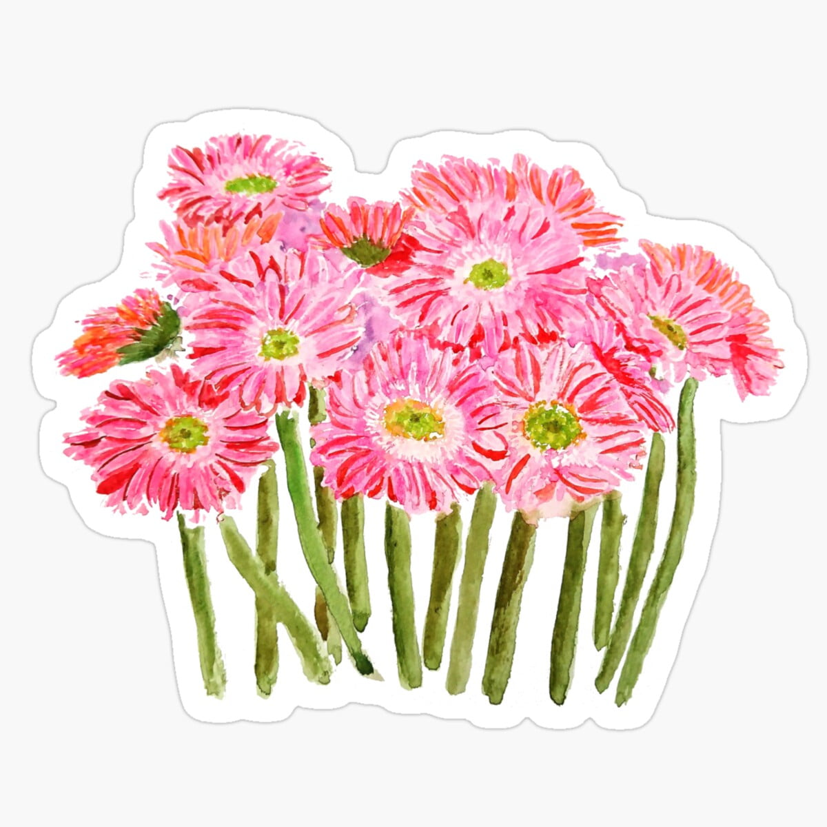KIRA Pink Barberton Daisy Gerbera Watercolor Gerbera Daisy Sticker ...