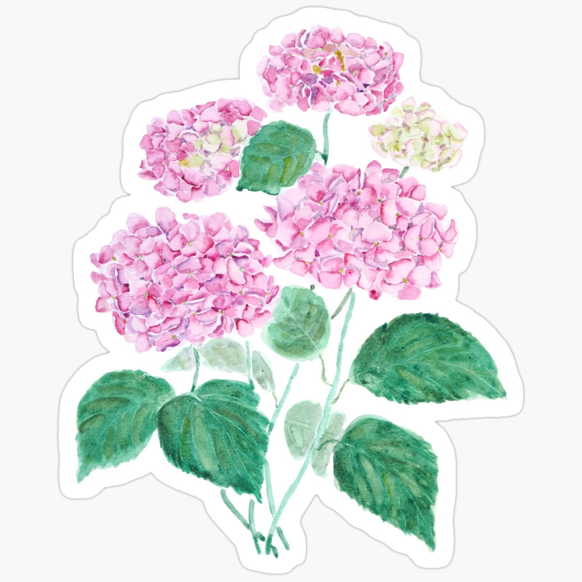 KIRA Pink Hydrangea Watercolor Sticker Birthday Gifts - Decorative ...