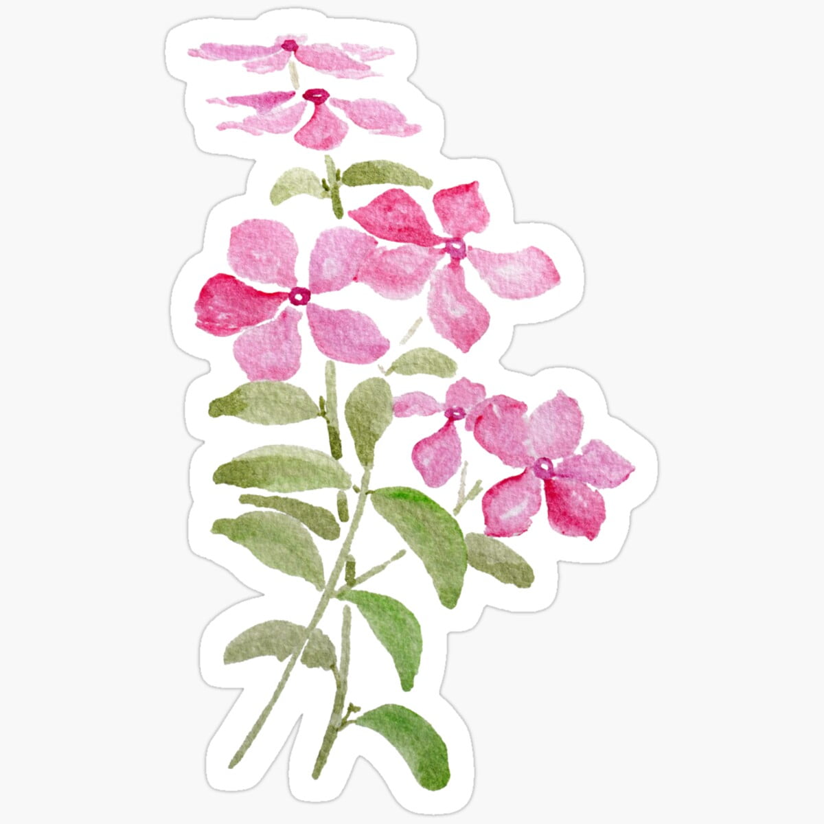 KIRA Pink Periwinkle Flowers Watercolor Painting Glossy Sticker ...