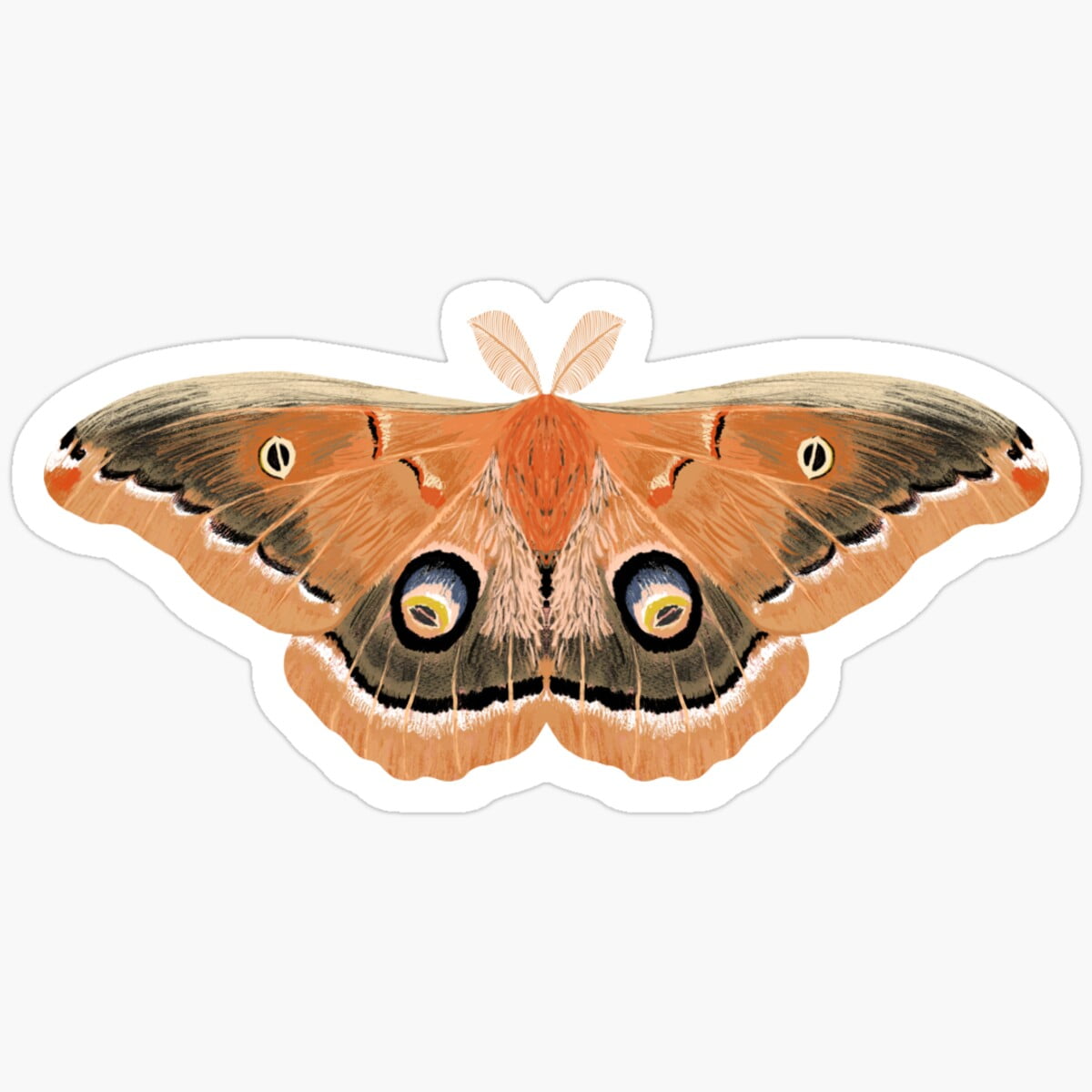 KIRA Polyphemus Mothlepidoptera Moth Art, Nature Art Sticker Birthday ...