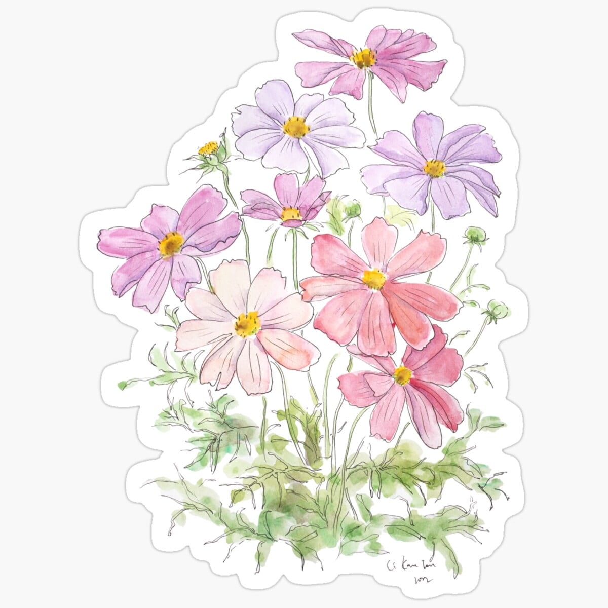 KIRA Purple And Pink Cosmos Flowers Ink And Watercolour Sticker ...