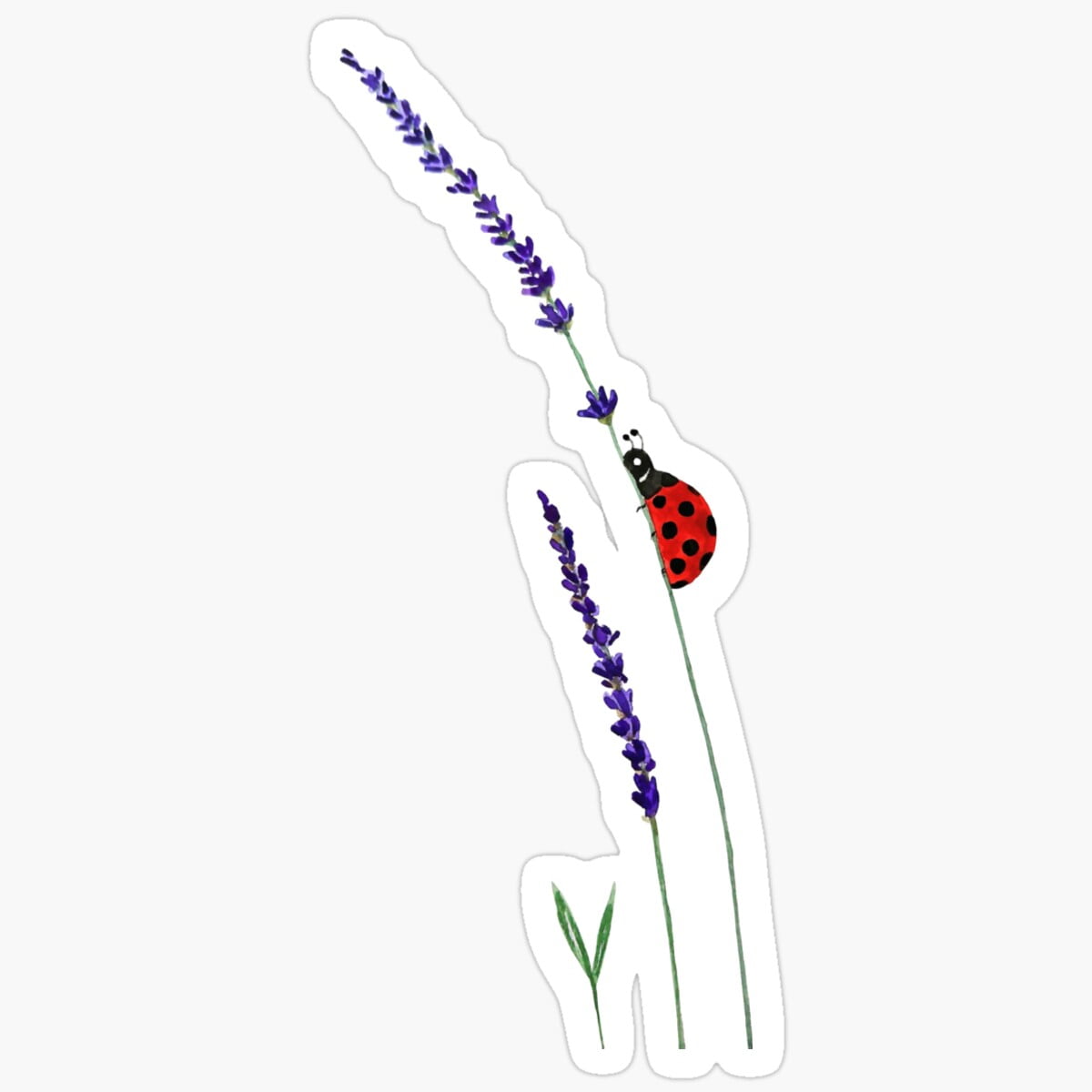KIRA Red Ladybug And Purple Lavender Sticker Birthday Gifts ...