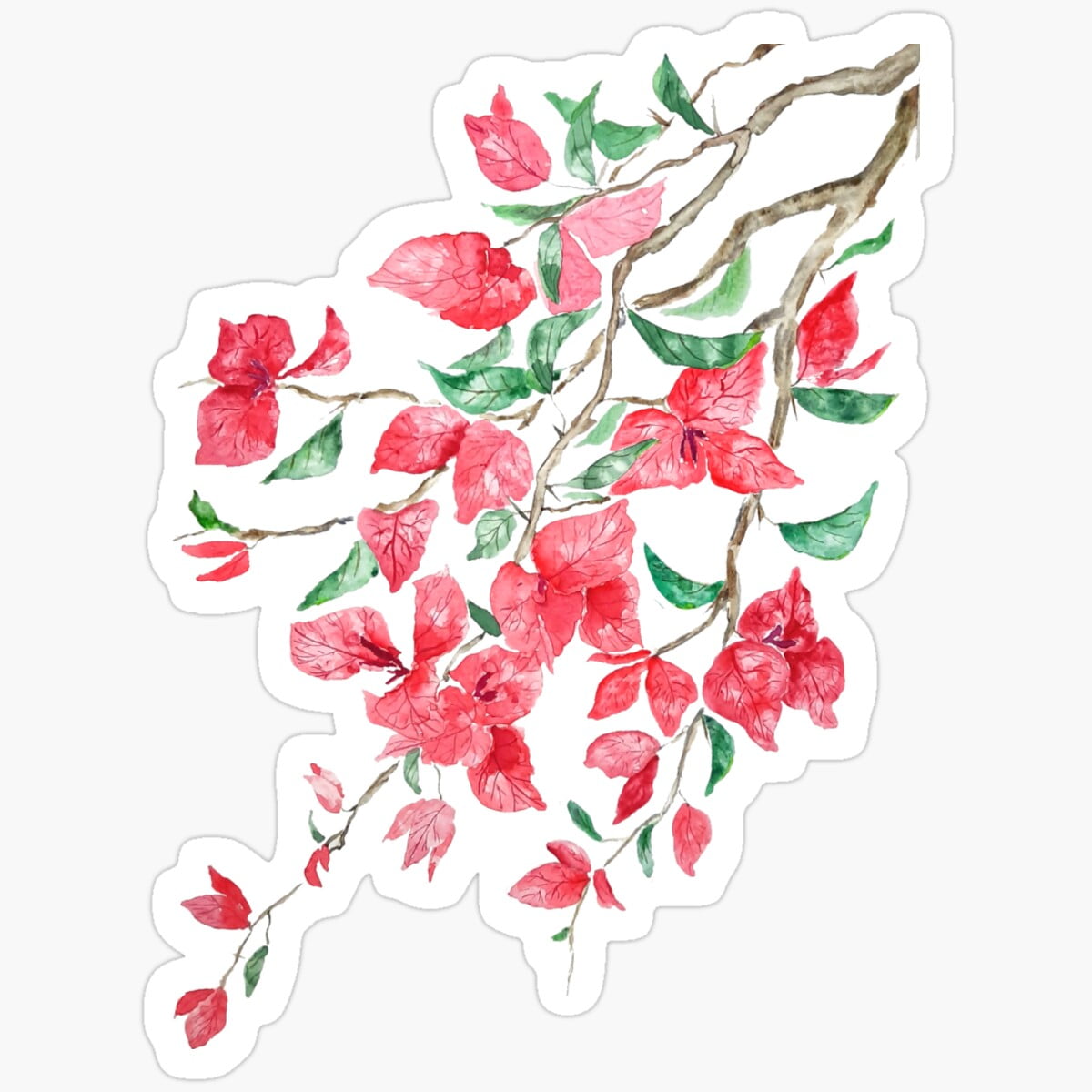 KIRA Reddish Pink Bougainvillea Flower Watercolor 2020 Sticker Birthday ...