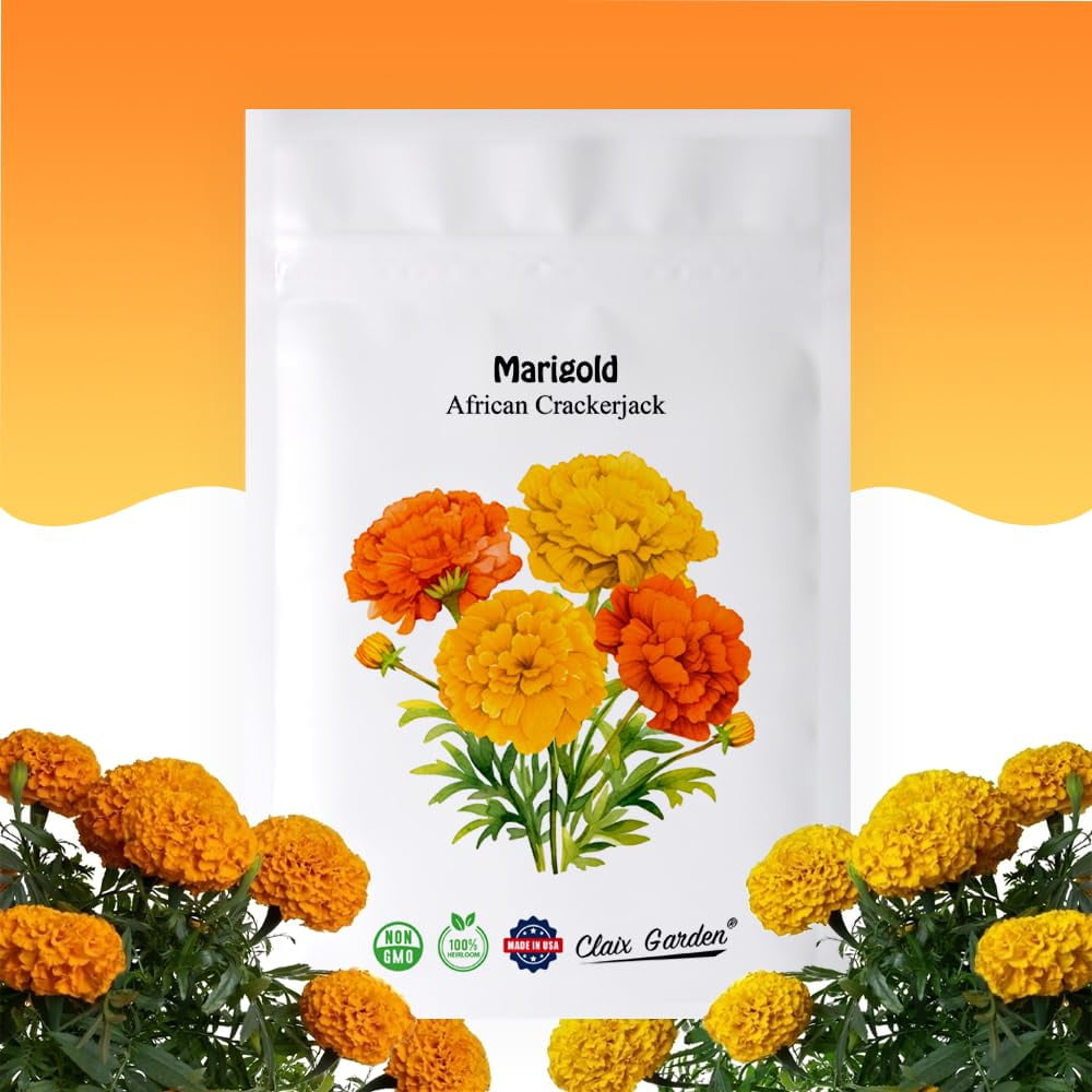 KIRA SEEDS - Seeds Asarina Joan SMRLorraine Mix - Annual Flowers for ...