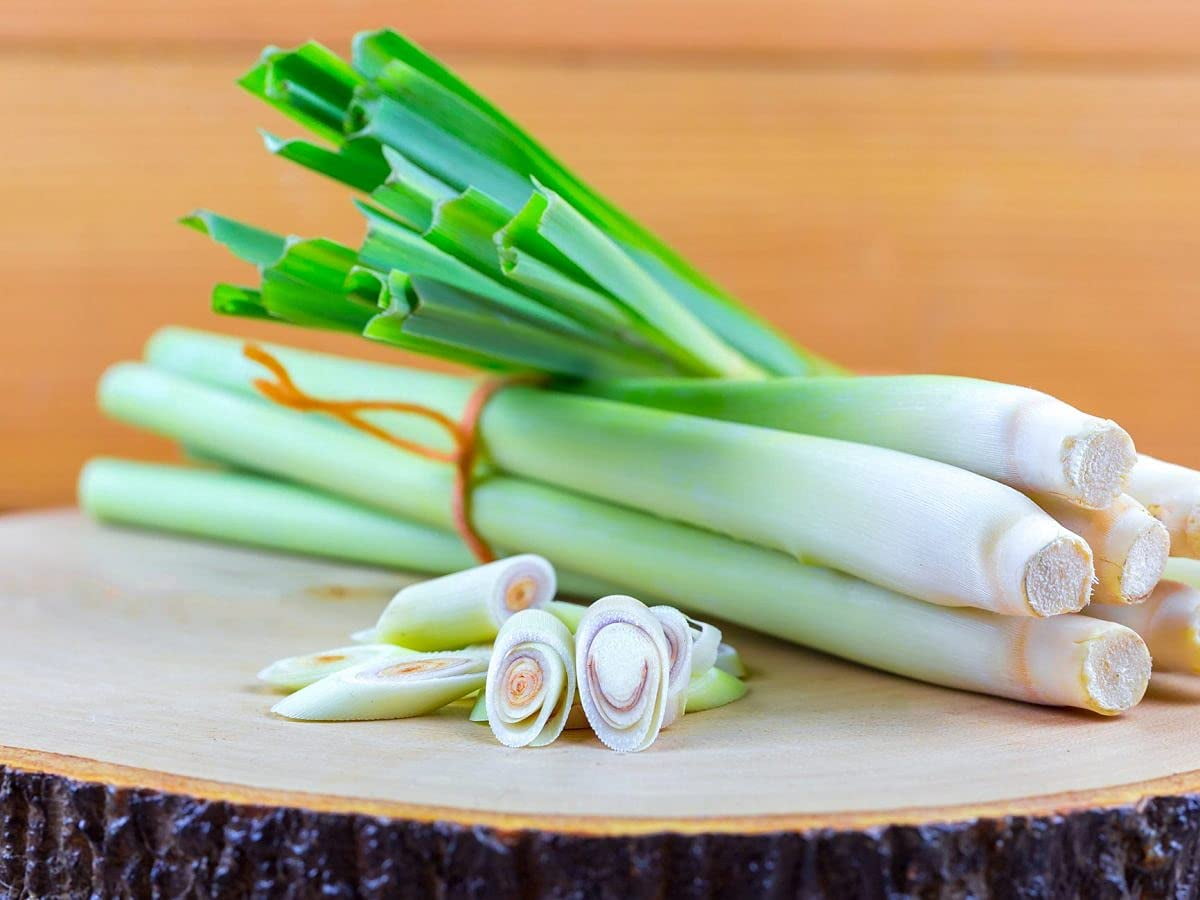 KIRA SEEDS - Seeds Lemongrass - Cymbopogon - Heirloom Herb - GMO Free ...