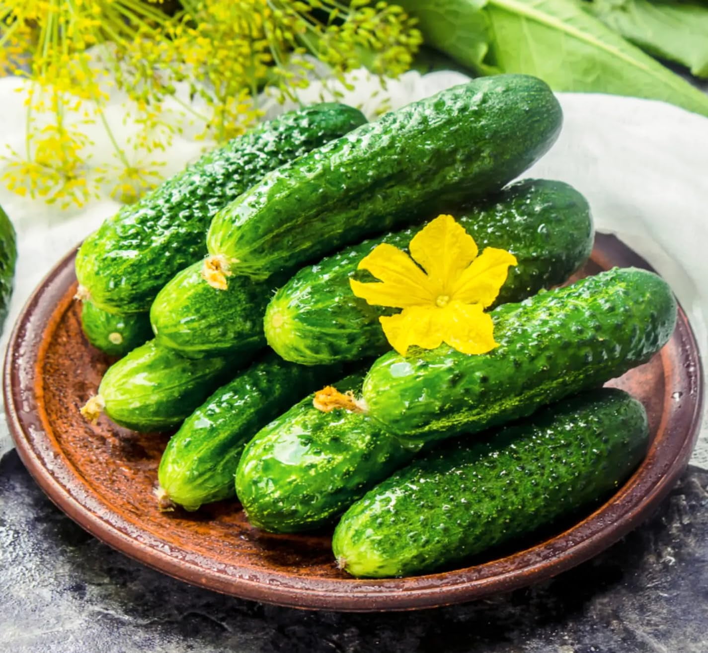 KIRA SEEDS -TRDN Seeds Cucumber Far Eastern - Open-Pollinated - Heirloom Vegetable - GMO Free ...