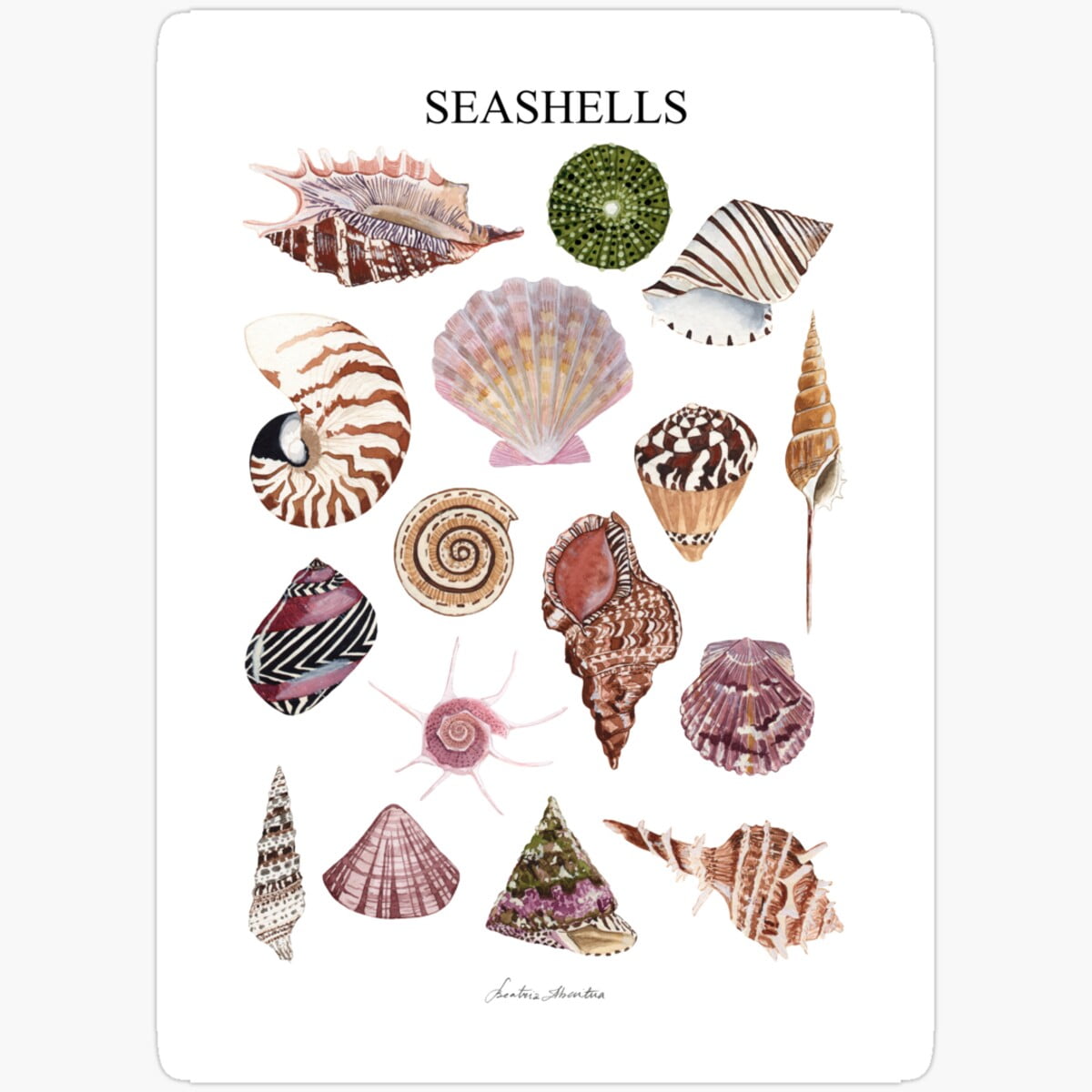 KIRA Seashells Poster-White Glossy Sticker Birthday Gifts - Decorative ...