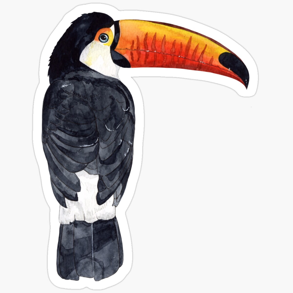 KIRA Toco Toucan-Ramphastos Toco Sticker Birthday Gifts - Decorative ...