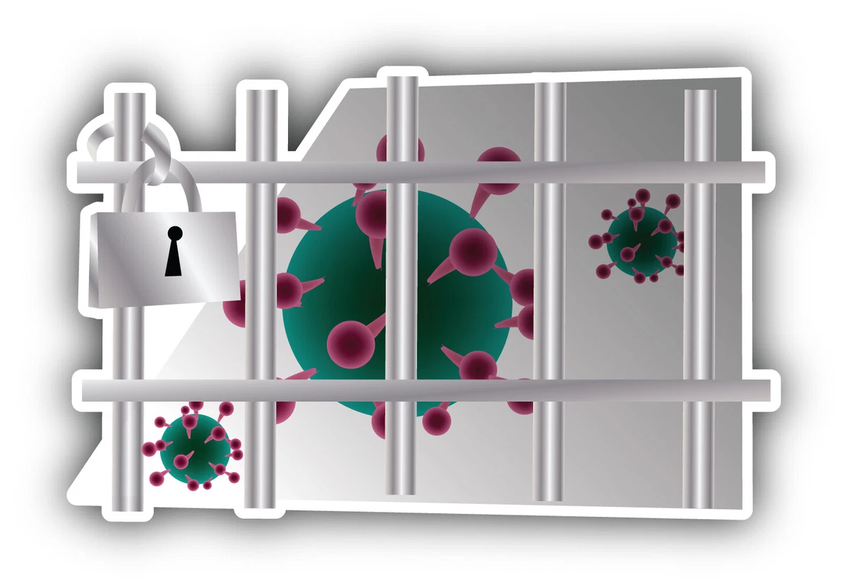 KIRA Virus Stop Prison Vinyl Sticker Car Bumper Decal Gift for you ...