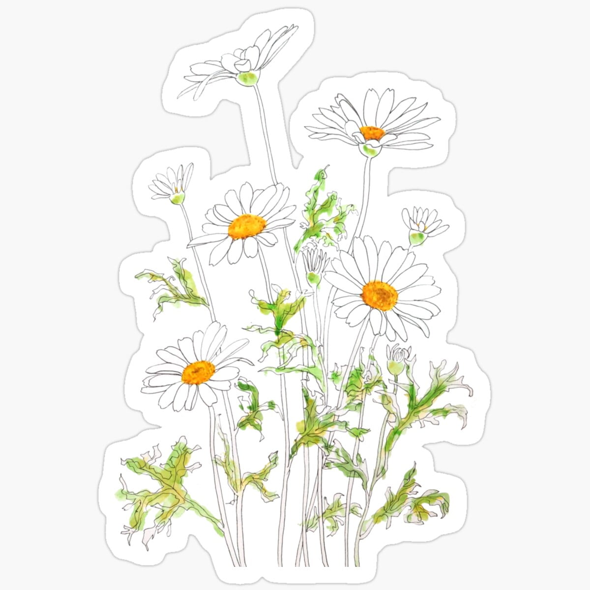 KIRA White Margaret Daisy Ink And Watercolor Glossy Sticker Birthday ...