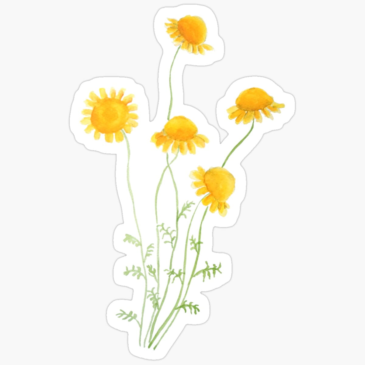 KIRA Yellow Helenium Sneezewateroclor Sticker Birthday Gifts ...