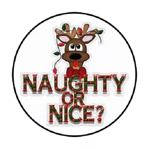 KIRAKIRA 48 Naughty or Nice Reindeer !! STICKERS - Walmart.com