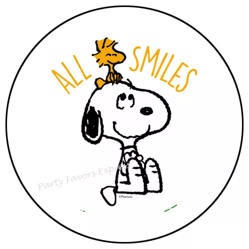 KIRAKIRA ALL SMILES STICKERS PARTY FAVORS - Walmart.com