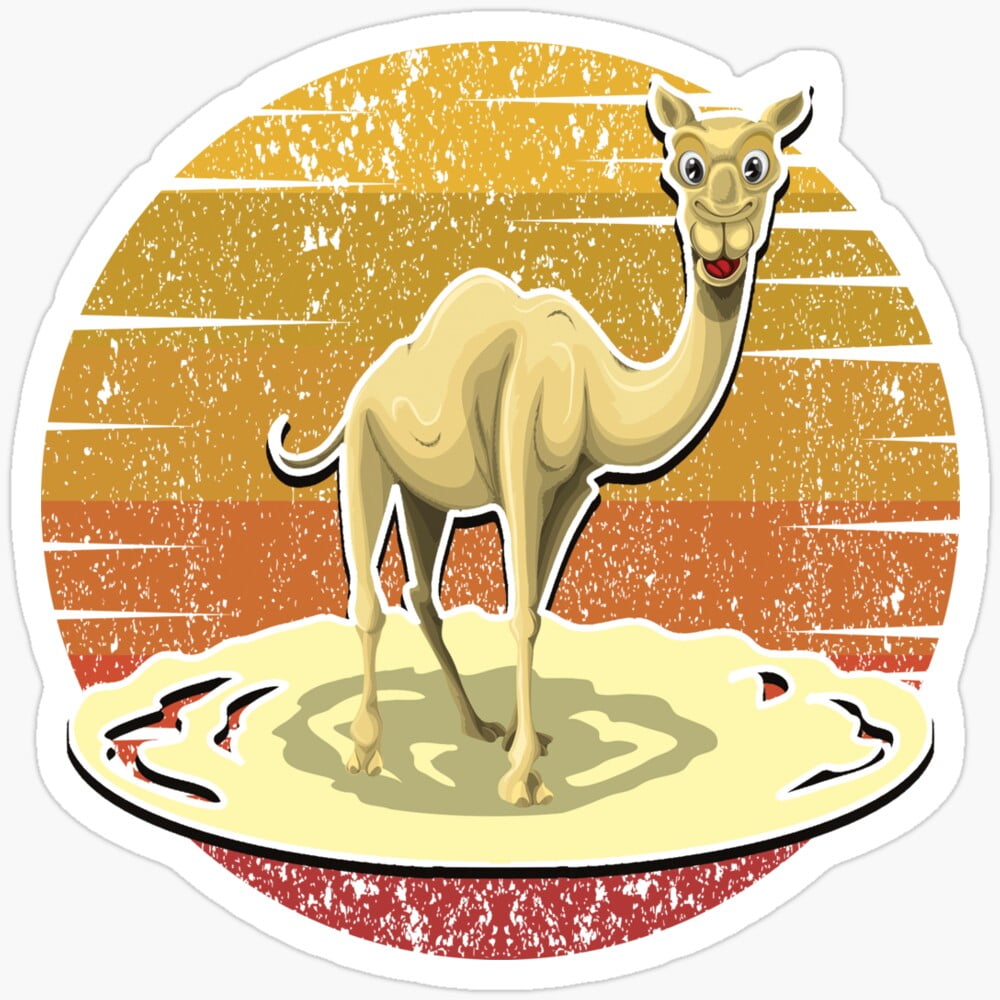 KIRAKIRA Camel Sunset Retro Vintage Camel Funny Animal Nature Lovers ...