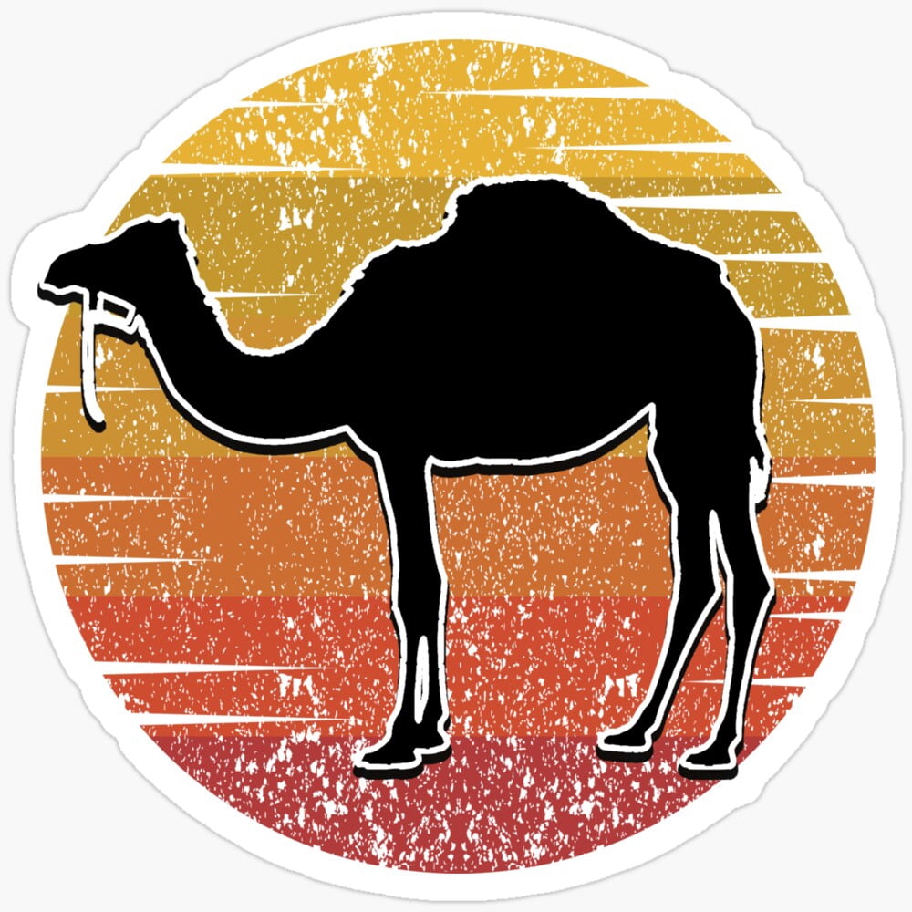 KIRAKIRA Camel Sunset Retro Vintage Camel Funny Animal Nature Lovers ...