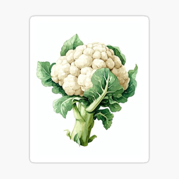 KIRAKIRA Cauliflower - Fruits and Vegetables Kitchen Poster - Kitchen ...