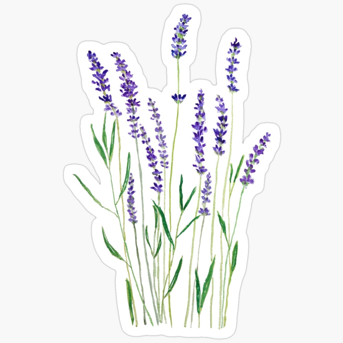KIRAKIRA Hand Painted Purple Lavender Sticker. Gift For You - Decorate ...