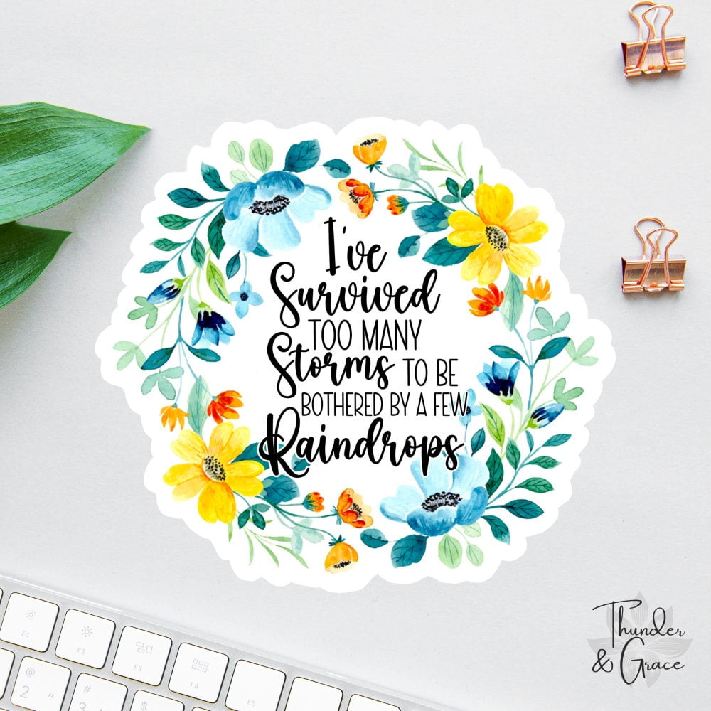 KIRAKIRA I Am The Storm Sticker, Warrior Quote, Womens Rights, Spring ...