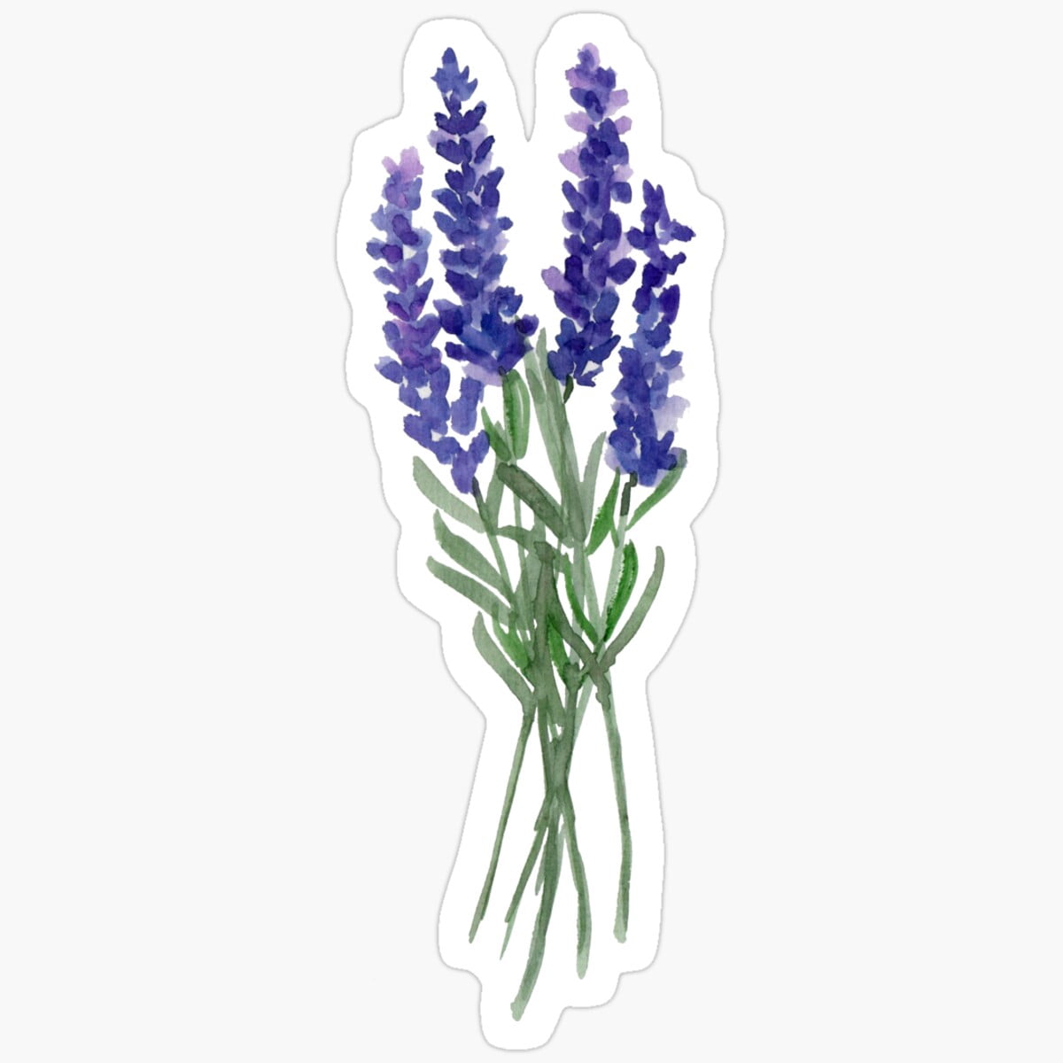 KIRAKIRA Lavender Dream Sticker. Gift For You - Decorate Laptops, Water ...