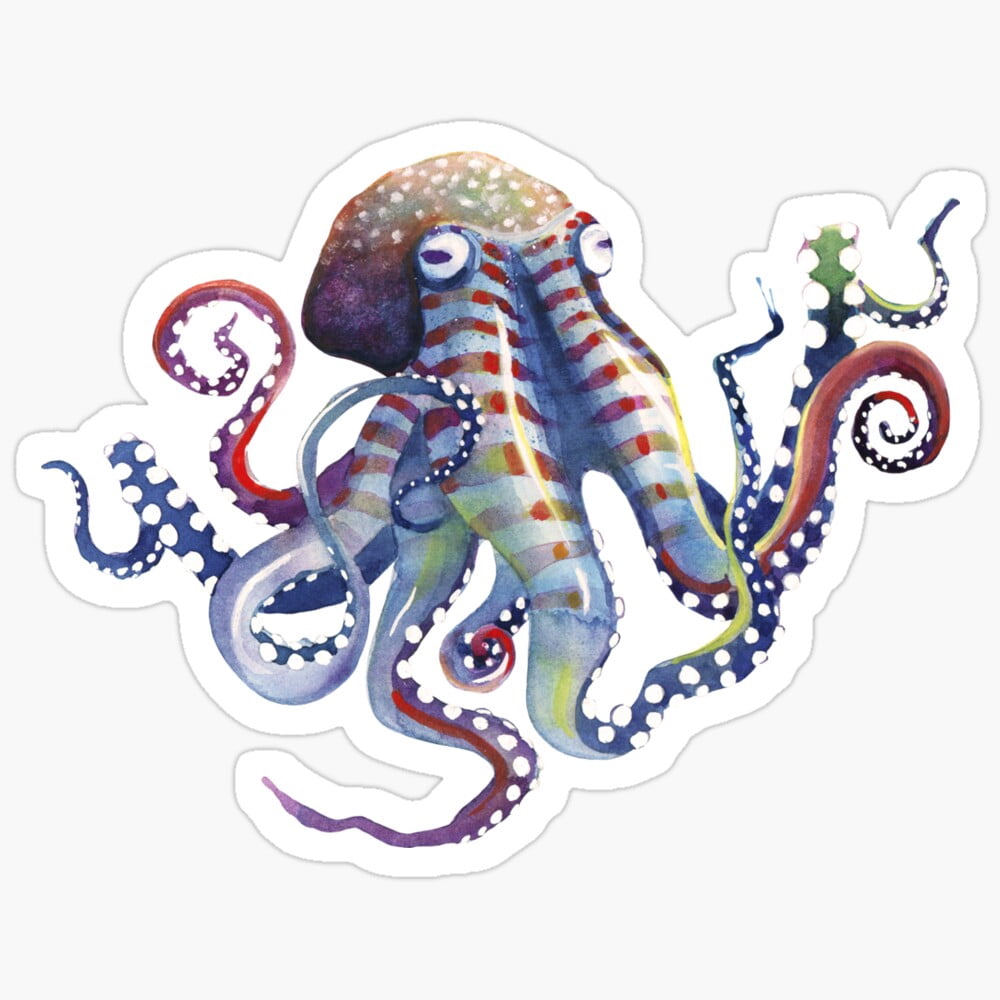 KIRAKIRA Octopus Sticker. Single, trio, or squad — Collect them all ...