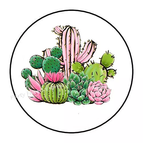 KIRAKIRA PINK CACTUS STICKERS PARTY FAVORS - Walmart.com