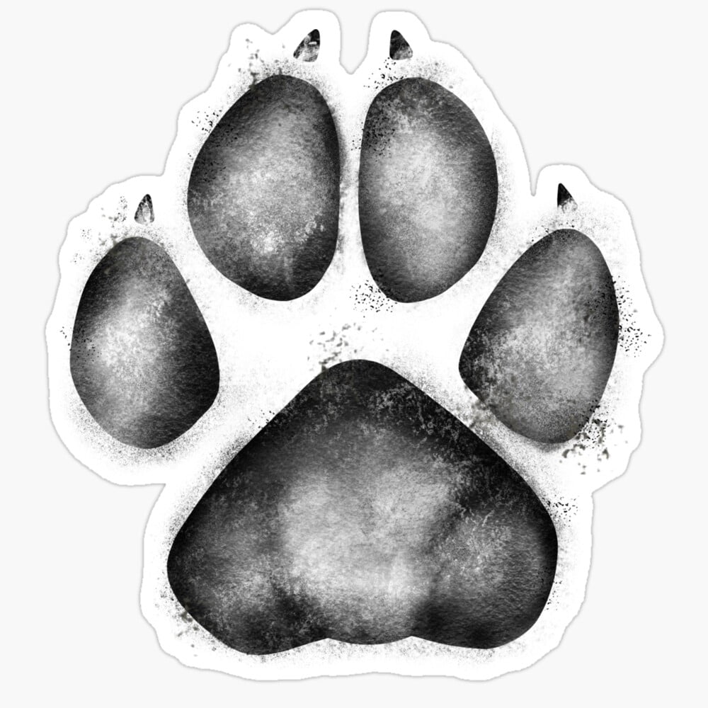 KIRAKIRA Paw print for dog and cat lovers Sticker. Single, trio, or ...