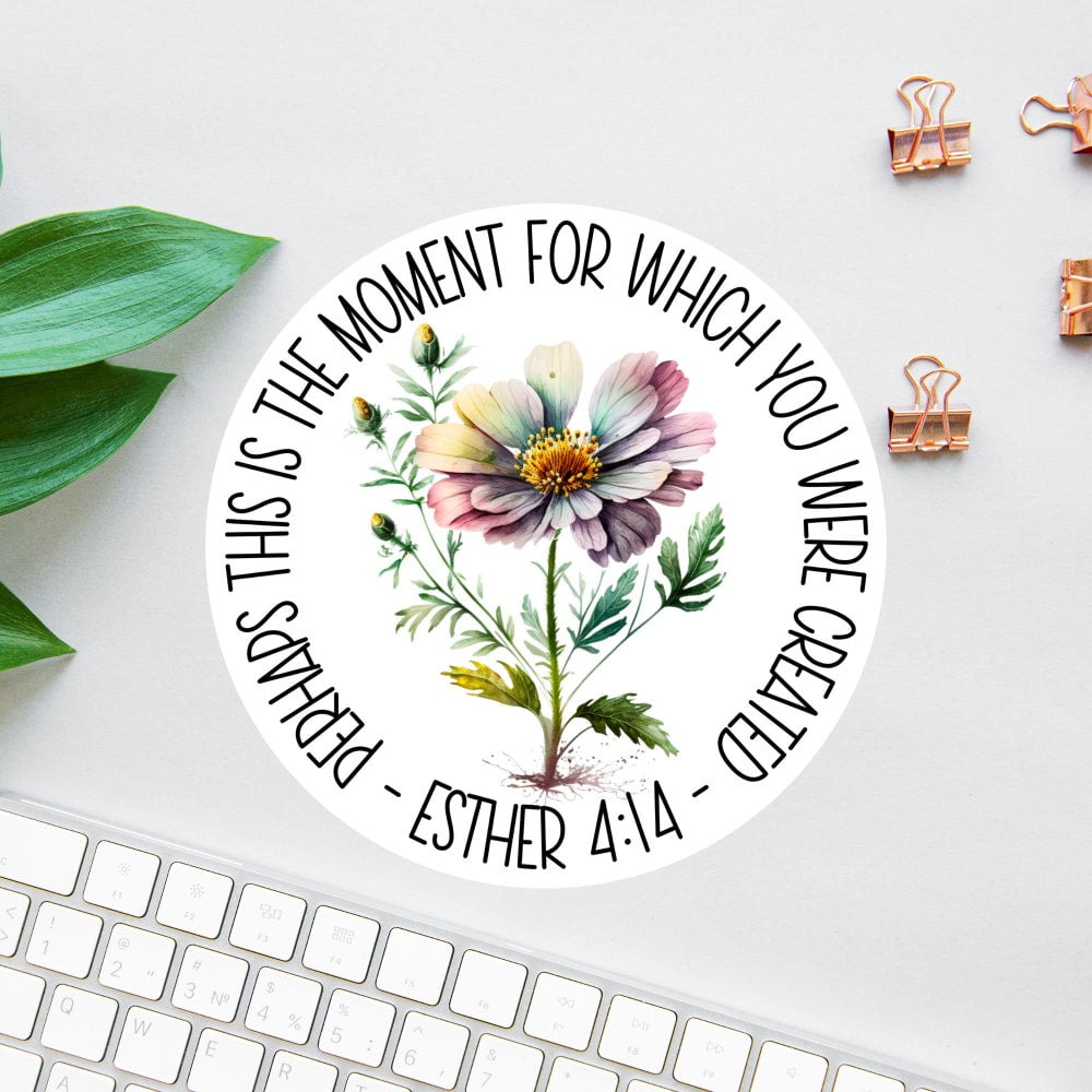 KIRAKIRA Perhaps This Is The Moment Sticker, Clear Laptop Sticker ...