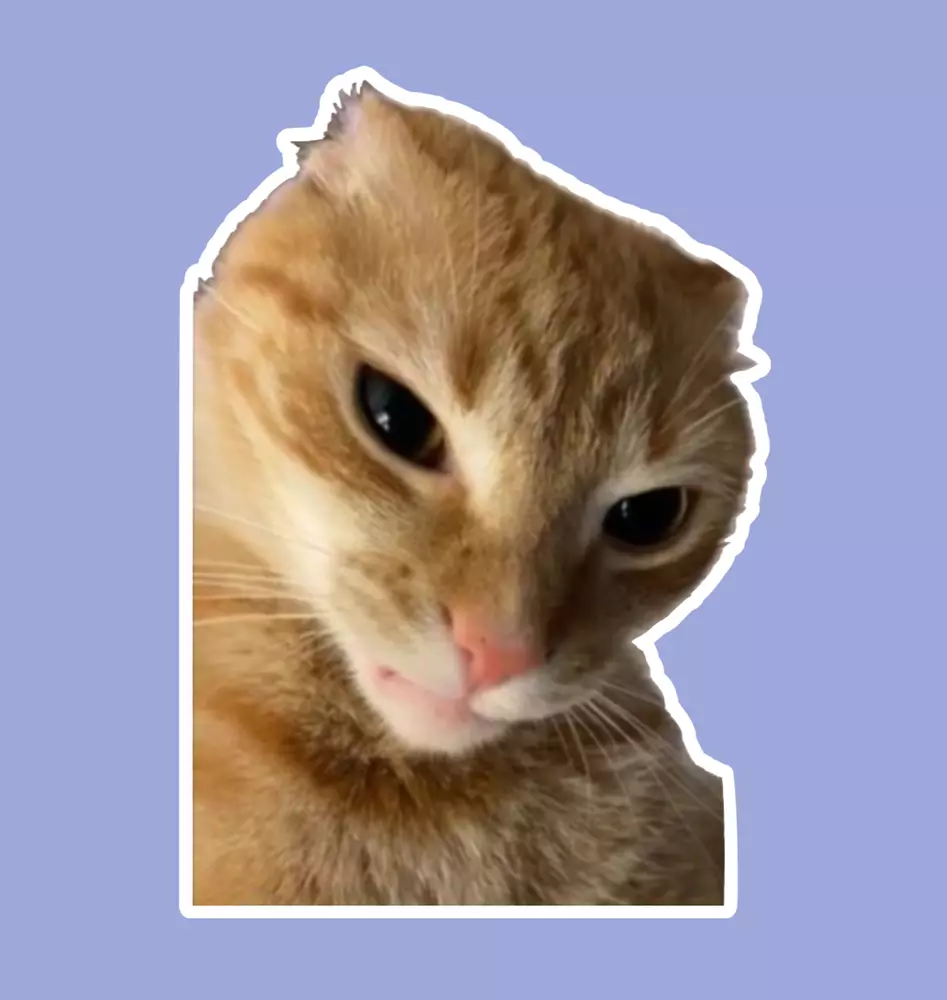 KIRAKIRA Ratchet Orange Cat Meme Die Cut Sticker - Walmart.com