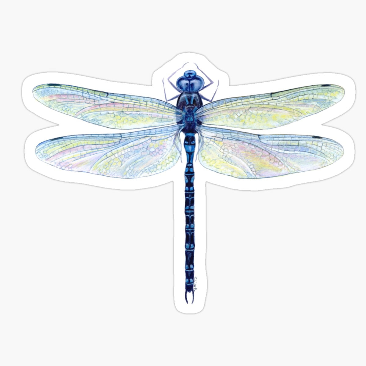 KIRAKIRA Spatterdock Dragonfly Sticker. Gift For You - Decorate Laptops ...