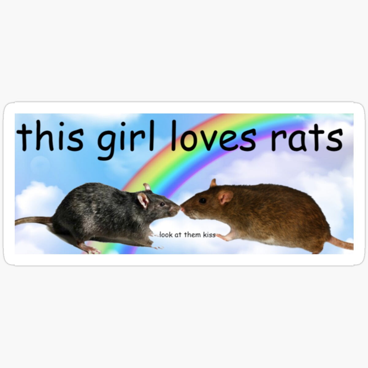 KIRAKIRA This Girl Loves Rats Bumper Sticker Sticker. Gift For You ...