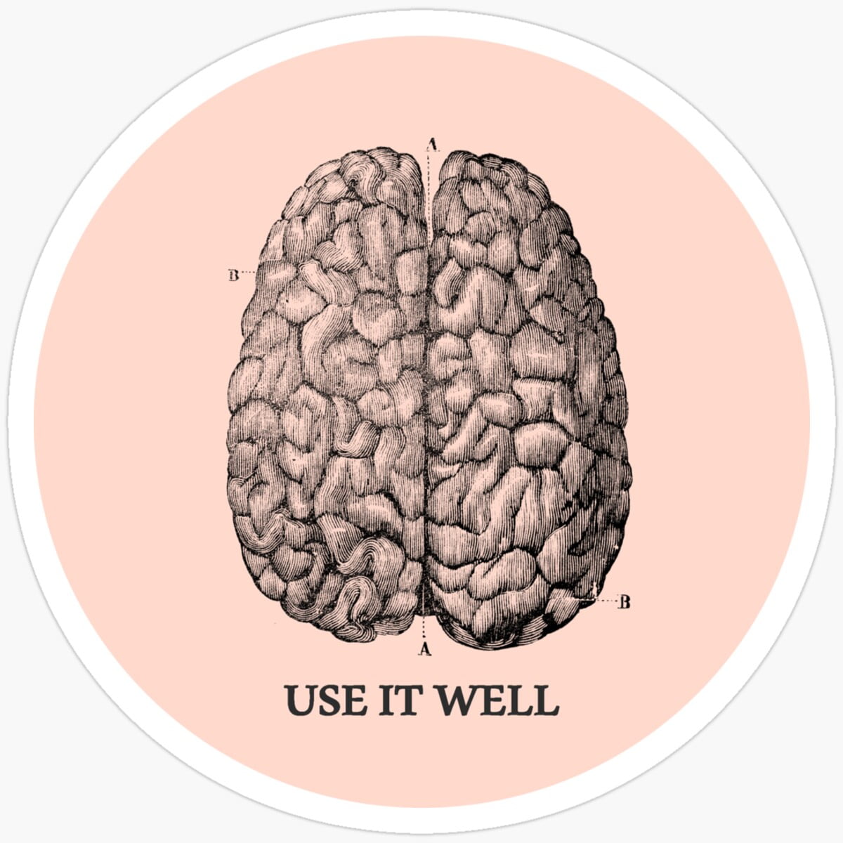 KIRAKIRA Use It Well - Brain Sticker. Gift For You - Decorate Laptops ...