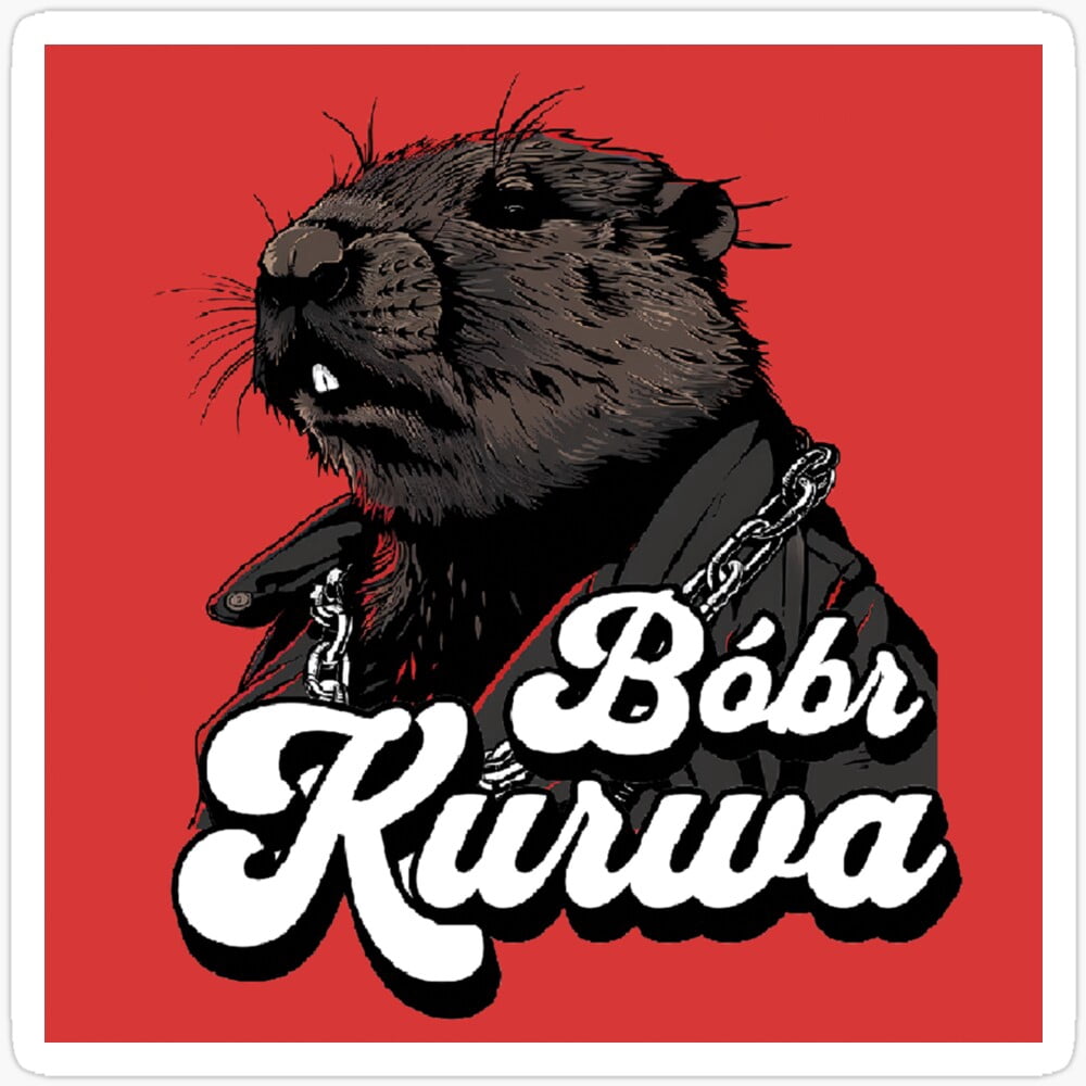 KIRAKIRA bober kurwa / bobr kurwa / beaver Sticker, Decorate laptops ...