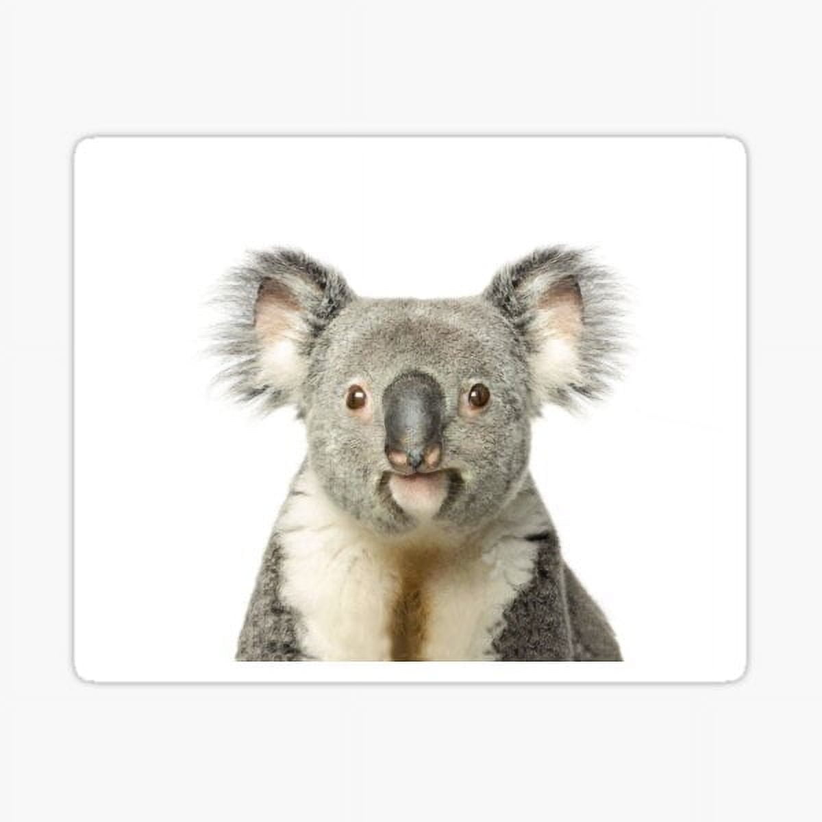 KIRAKIRA cute koala bear Sticker - Walmart.com
