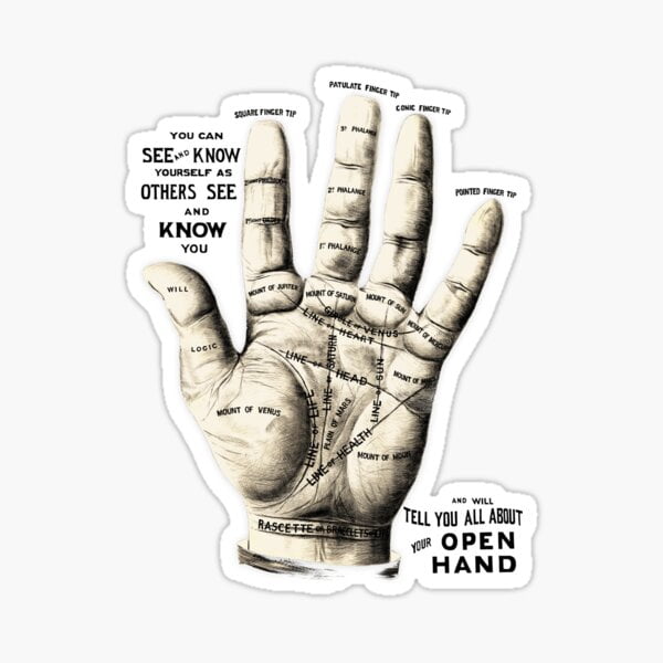 KIRAKIRA hand palm reading vintage illustration Sticker - Walmart.com