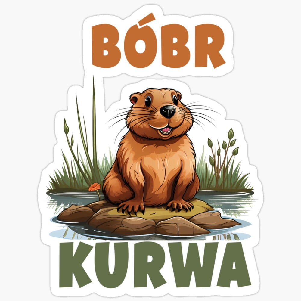 KIRAKIRA patricks day 2024 / Saint Patricks Day Truck / Happy St ...