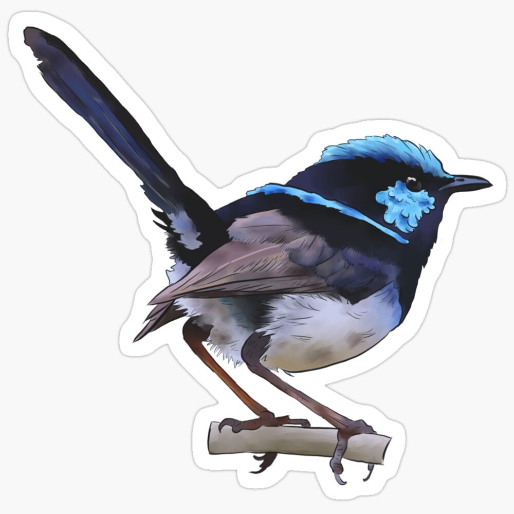 KIRAKIRA superb fairy wren birdy Sticker. Single, trio, or squad ...