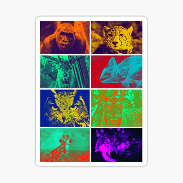 KIRAKIRA wild animals in high contrast Sticker - Walmart.com