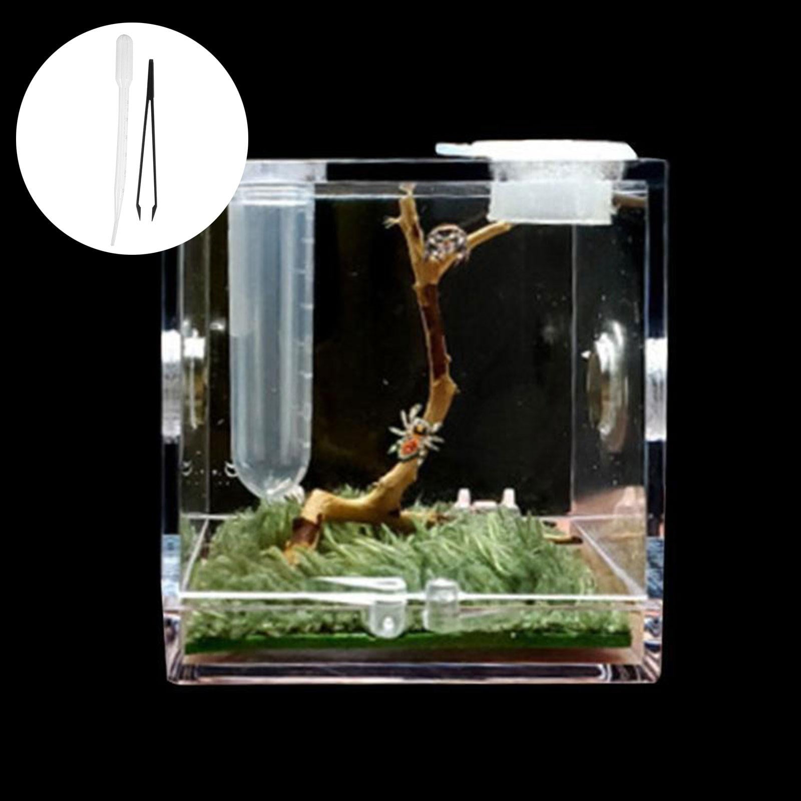 KITPIPI Jumping Spider Enclosure, Jumping Spider Habitat with Dropper ...