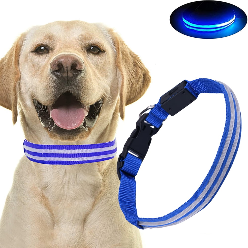 KIZOCAY Led Light Dog Collar, Detachable Glowing USB Charging Luminous ...