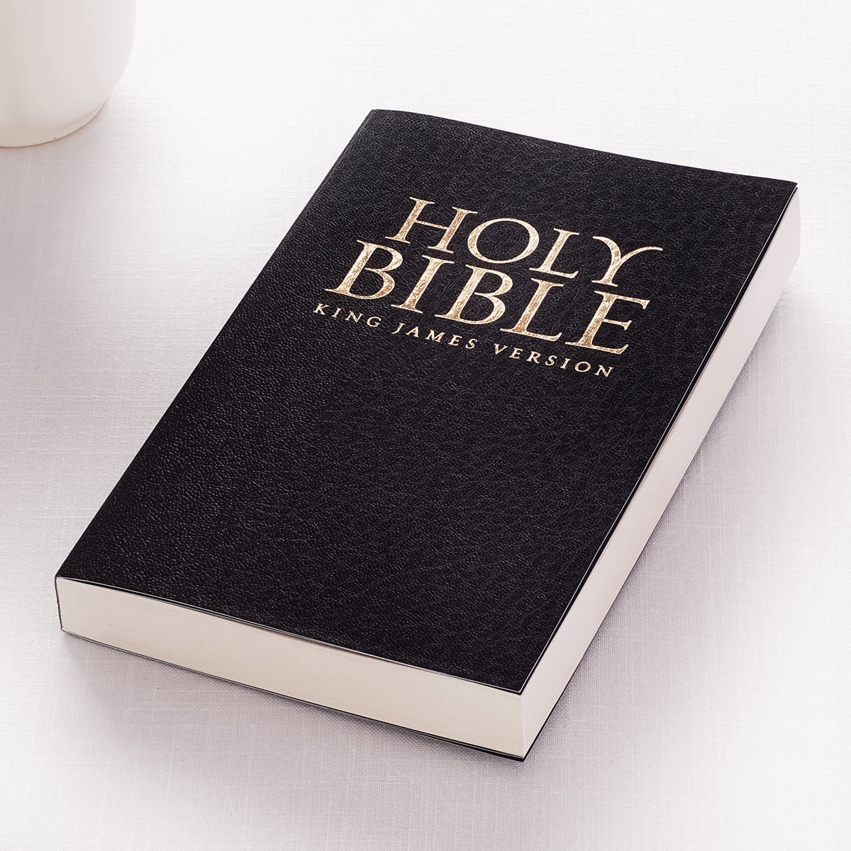 KJV Holy Bible, Gift and Award Bible - Softcover, King James Version ...