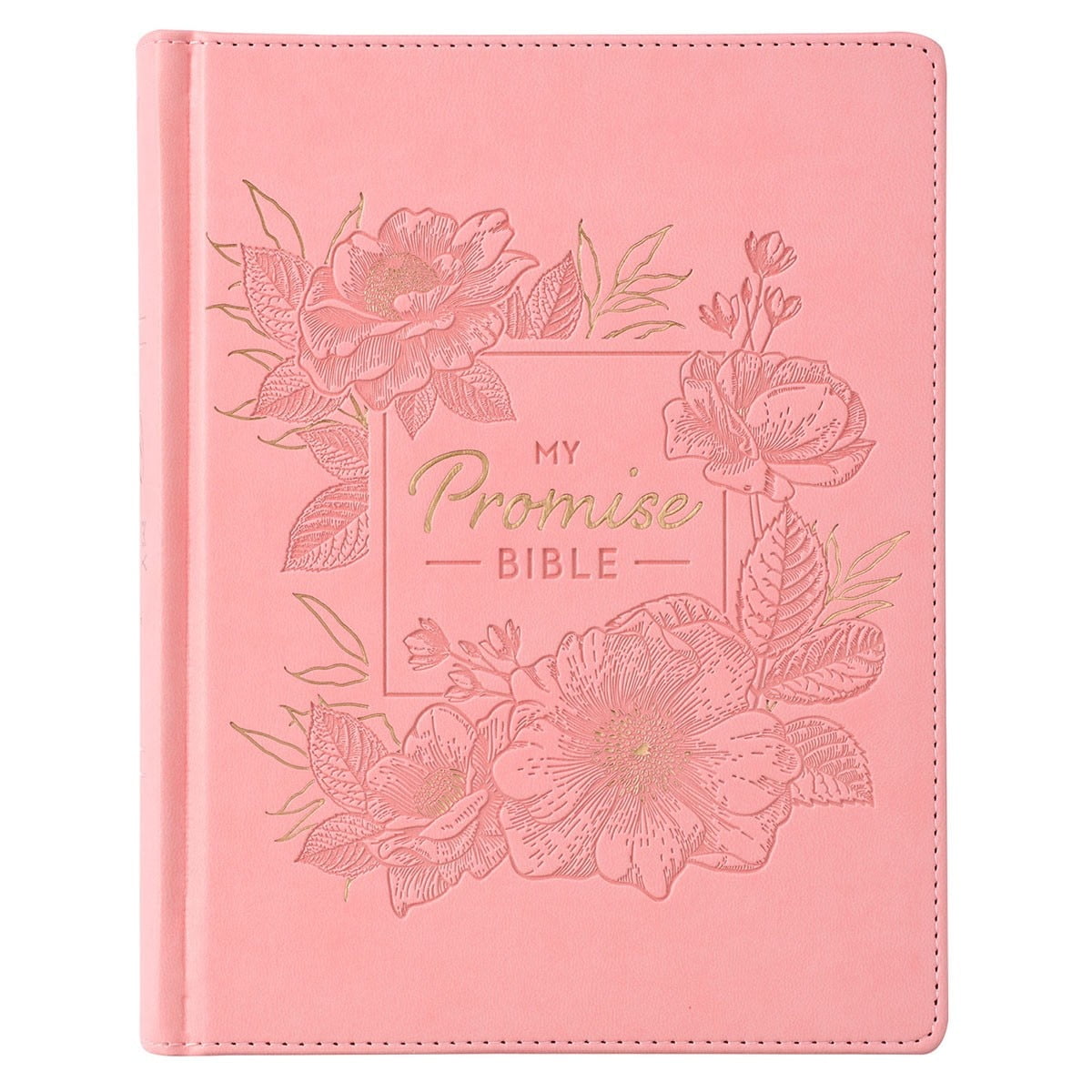 KJV Holy Bible, My Promise Bible, Faux Leather Hardcover w/Bible Tabs ...