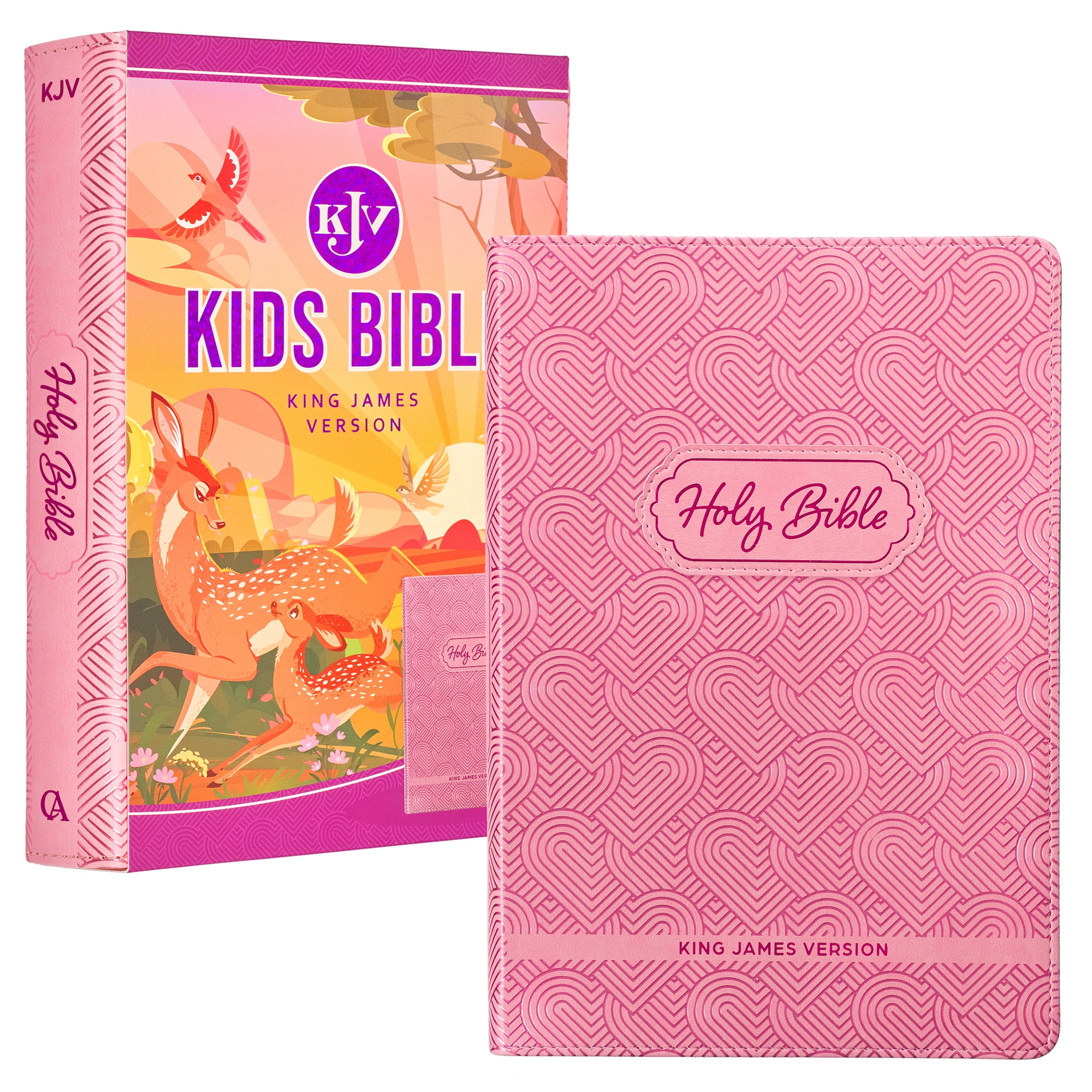 KJV Kids Bible, 40 pages Full Color Study Helps, Presentation Page ...