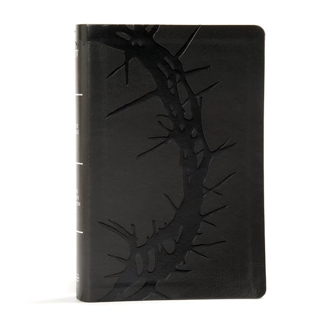 Holman KJV Large Print Personal Size Reference Bible, Charcoal ...