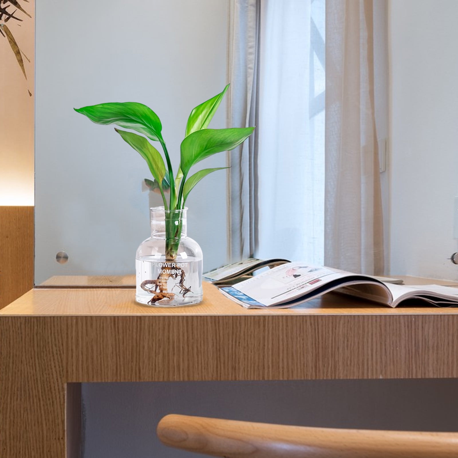 KKCXFJX Home Decor,Transparent Hydroponic Small Potted Plant Pots ...