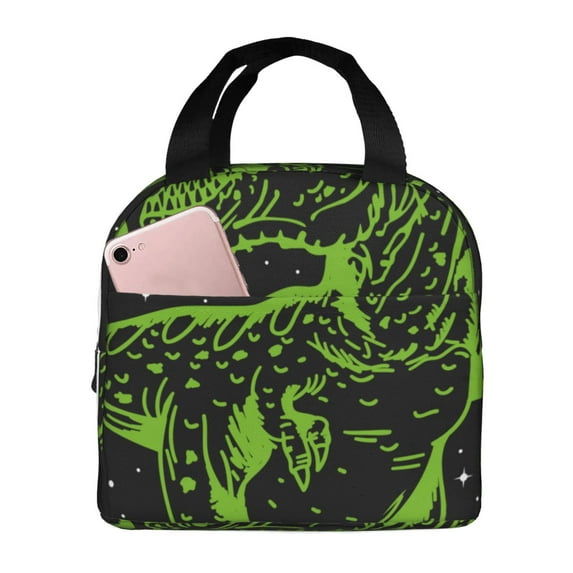KLL DINOSAUR IN SPACE Print Insulated Lunch Bag Women, Reusable Cute ...