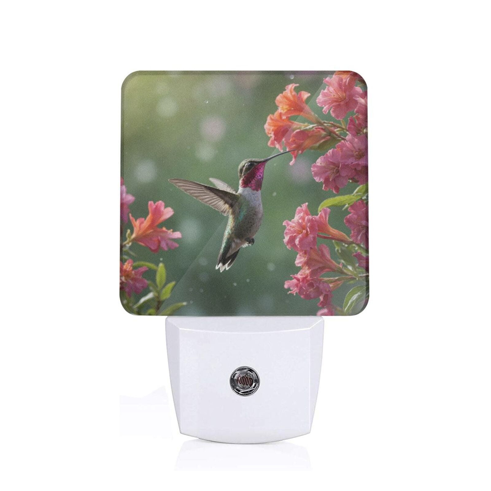 KLL Humming Bird 1 for Night Lights,Auto Sensor Night Lamp Plug in ...
