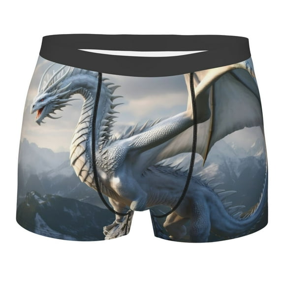 KLL Mountain White Dragon Men's Cotton Boxer Briefs Underwear-Medium ...