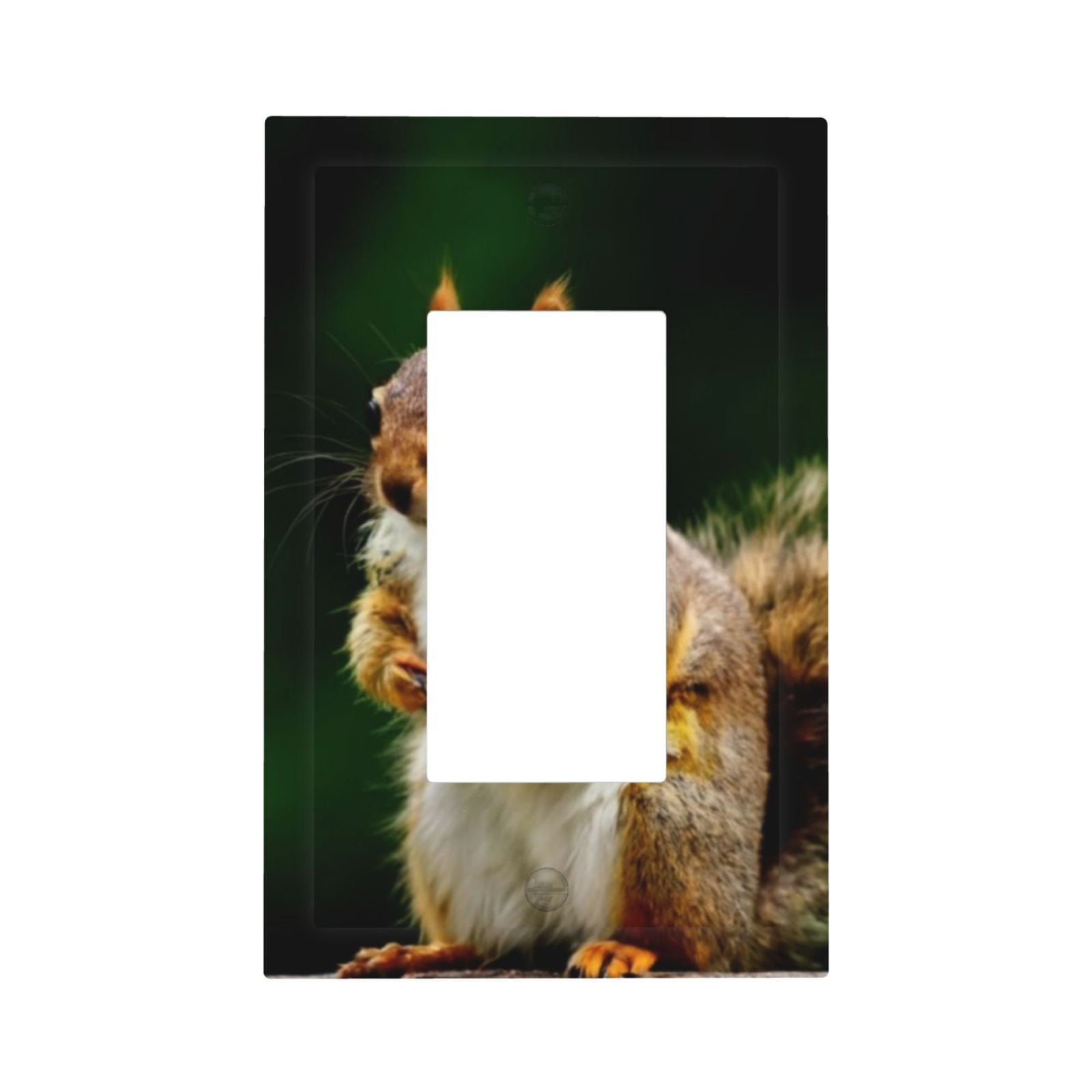 KLL Squirrels Eating Peanuts On The Tree Pattern Electrical Outlet ...